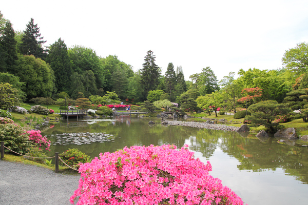 Seattle Japanese Garden Society - Garden