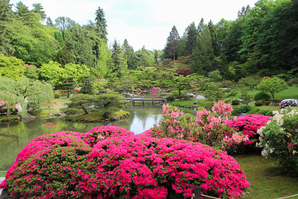Seattle Japanese Garden Society - Garden