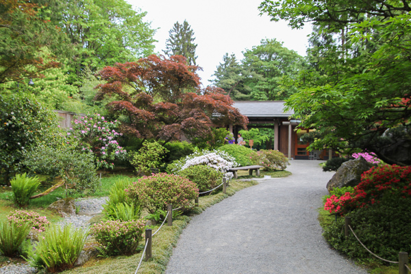 Seattle Japanese Garden Society - Garden