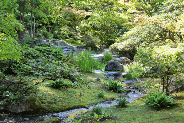 Seattle Japanese Garden Society - Garden